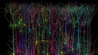 Simons Foundation and Klingenstein Fund Announce Klingenstein-Simons ...