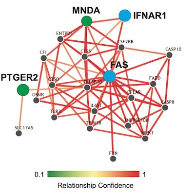 Big Data Tool to Reveal Immune System Role in Diseases