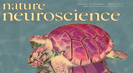 Theoretical Brain Studies Highlighted in Special Issue of Nature ...