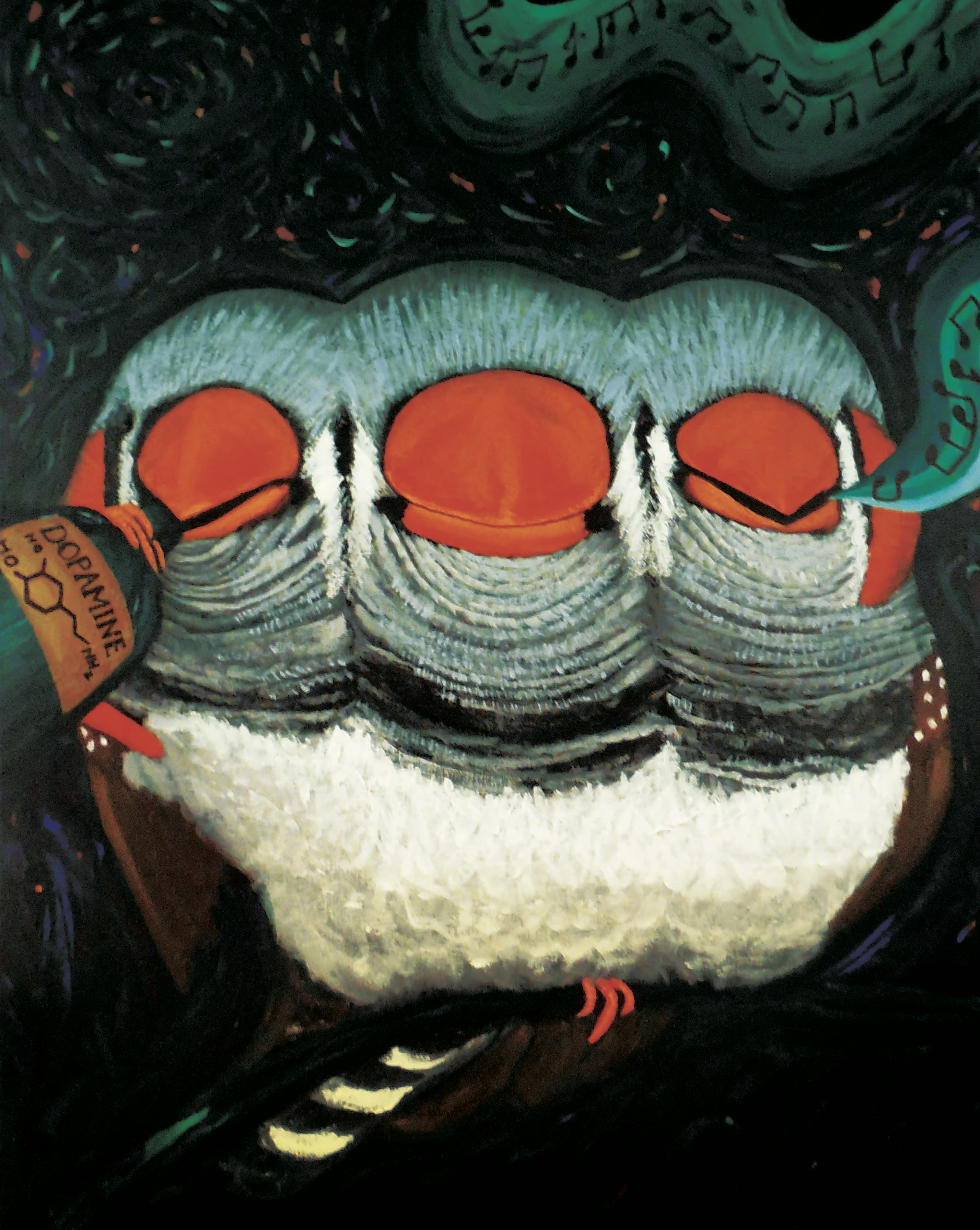 How Practice Makes Perfect: Dopamine Clues From a Songbird