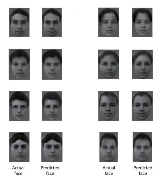 Face Recognition Relies on Surprisingly Simple Code