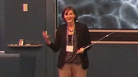 M. Lisa Manning, MMLS Investigator and PI in the Cracking the Glass ...