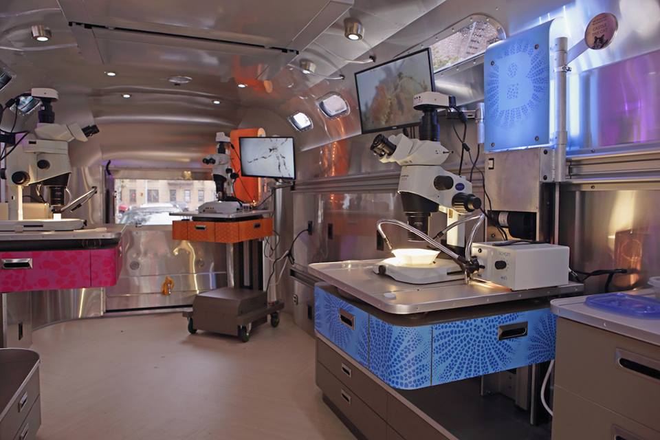 On the Road With a Brand-New BioBus