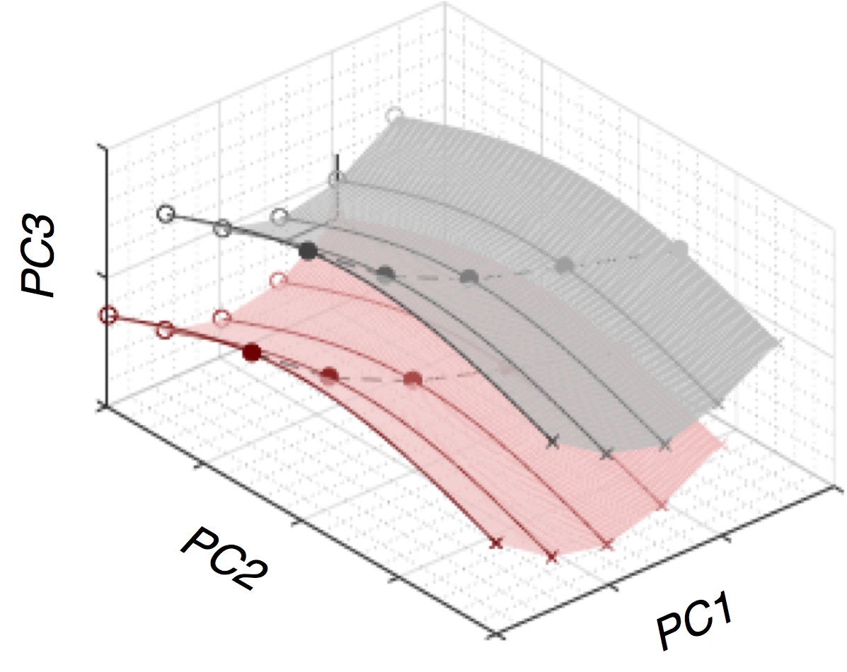 Duck Versus Catch: How the Brain Rapidly Responds to Context