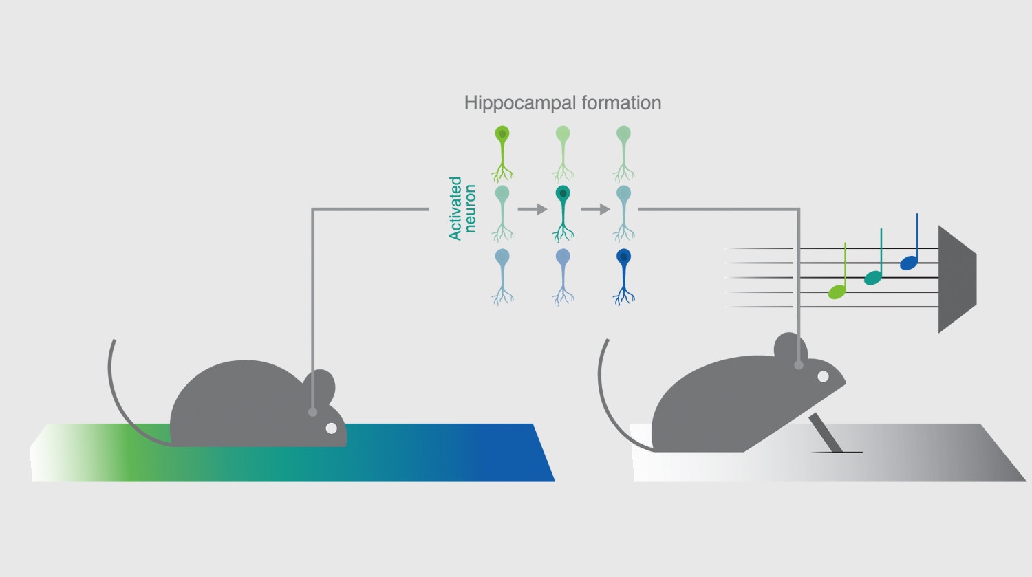 Simons Collaboration on the Global Brain: Mapping Beyond Space