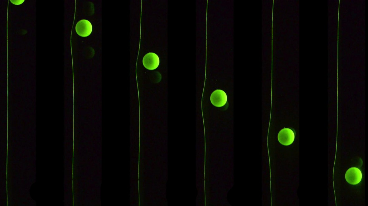 Particles Surf Their Own Waves, Reveal How Microbes and Cells Move ...