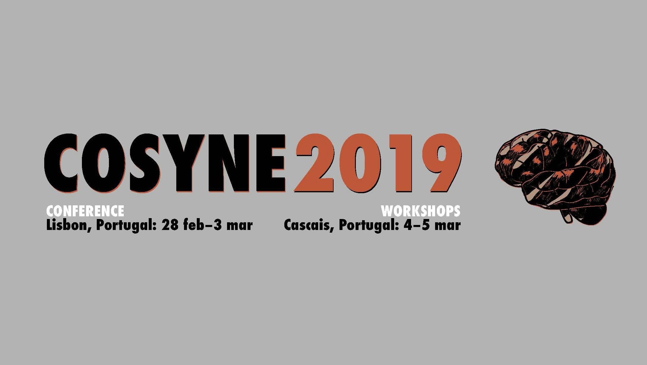 Conference Spotlight: Cosyne 2019
