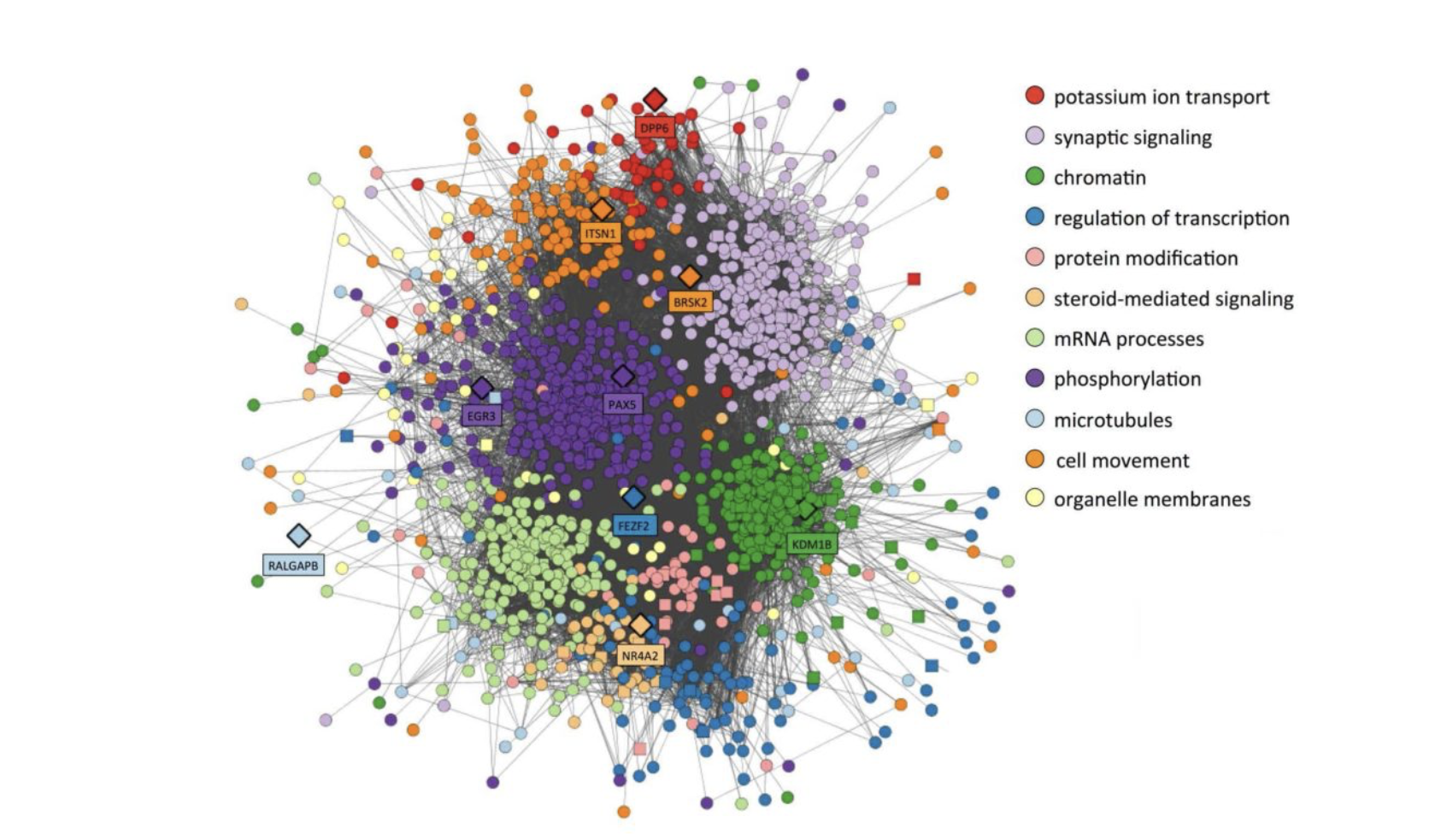 A Data Infrastructure for Autism Discovery