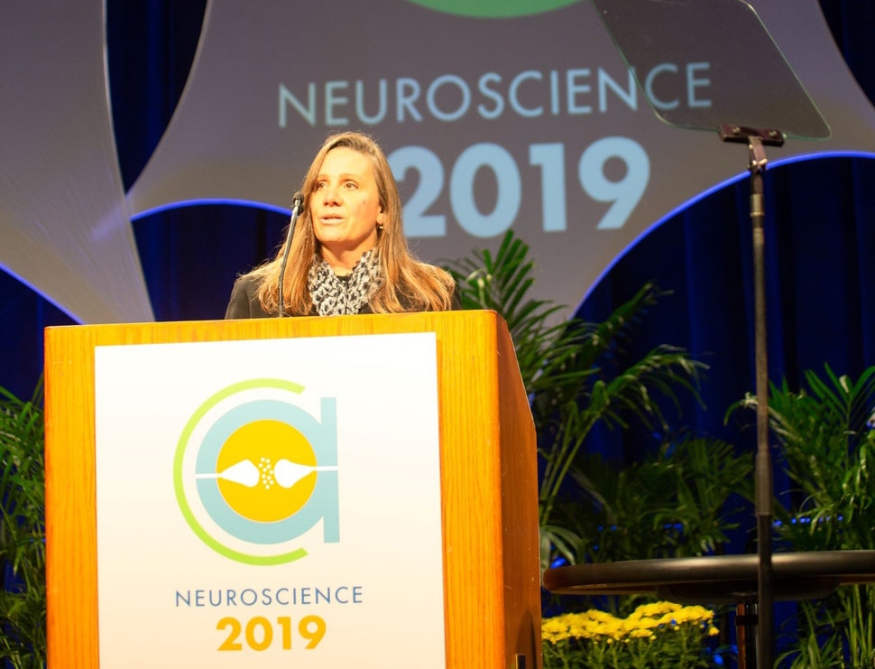 How the Cerebellum Learns to Learn