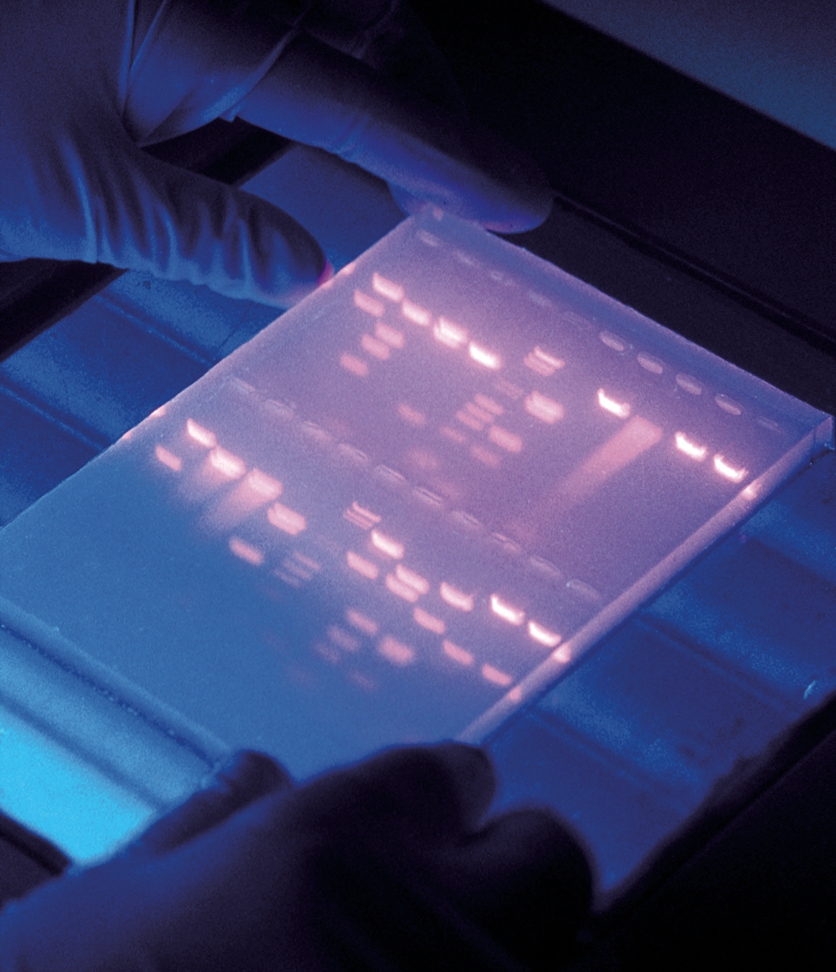 Mutations in Uncharted Territory: The Mystery of Noncoding DNA