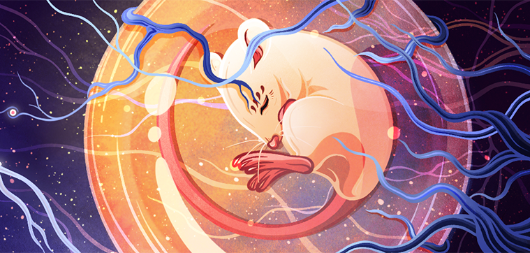 The Connected Connectome Part 2: Beyond the Fly