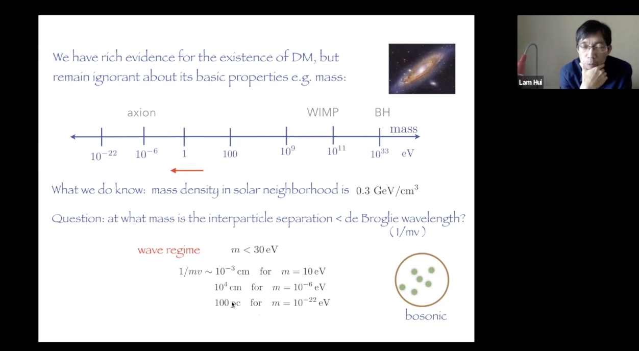 Lam Hui: Wave Dark Matter