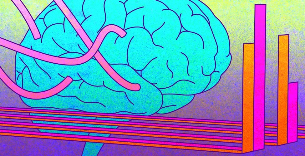 Scoring the Brain: How Benchmark Datasets and Other Tools are Solving ...