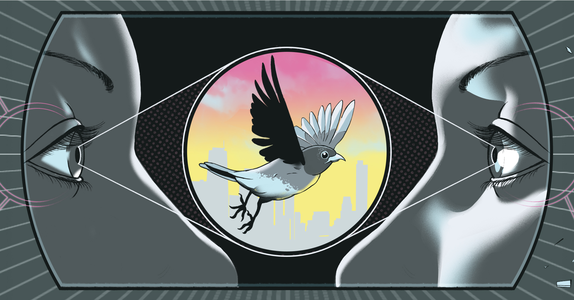 Reaching Across the Aisle to Find the Algorithms of Vision