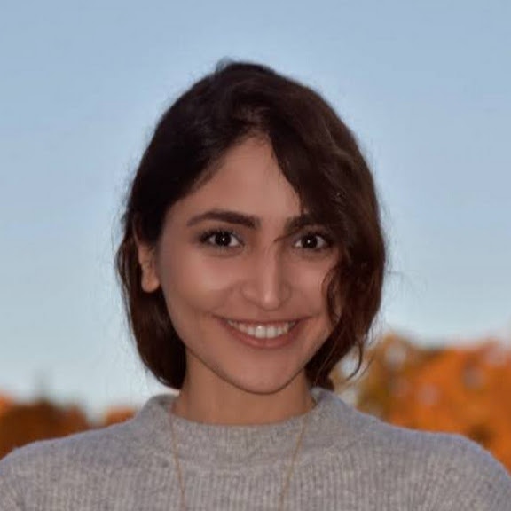 Parisa Karimi