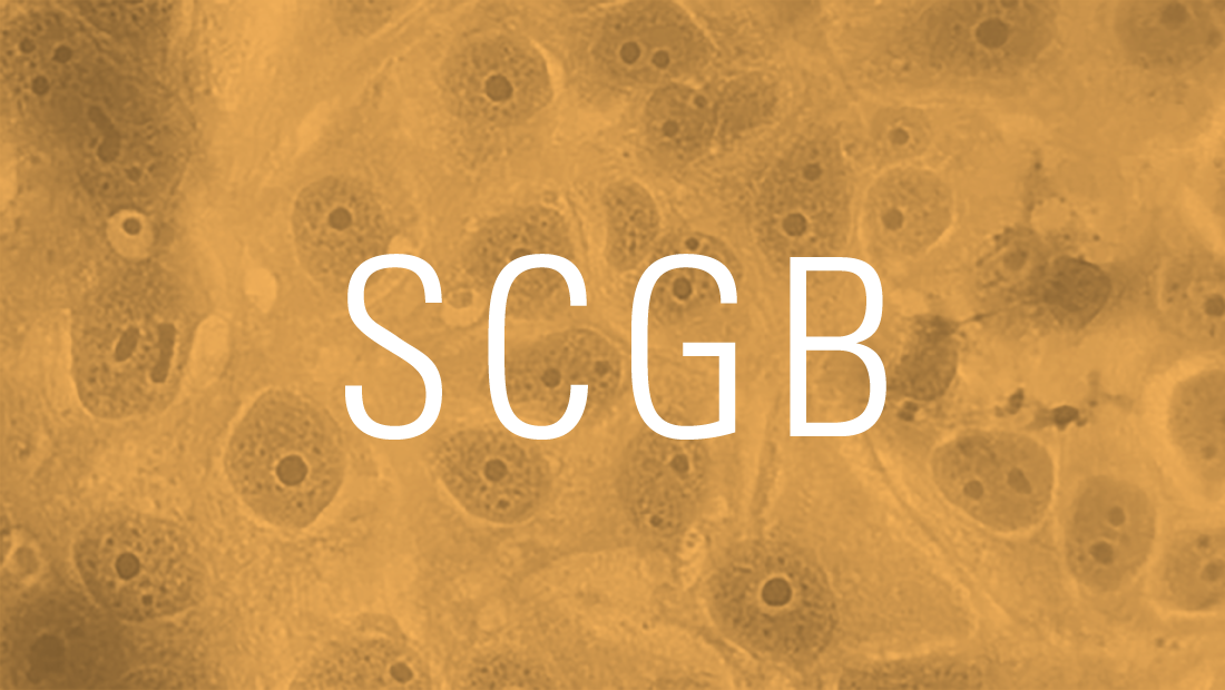 Simons Collaboration on the Global Brain Announces New Class of ...