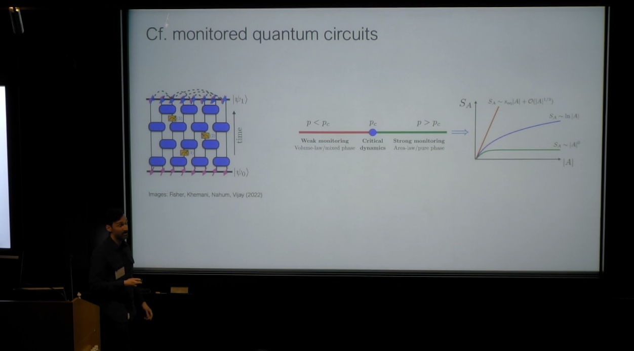 Stefanos Kourtis: Qubit Vitrification and Entanglement Critically on a Quantum Simulator