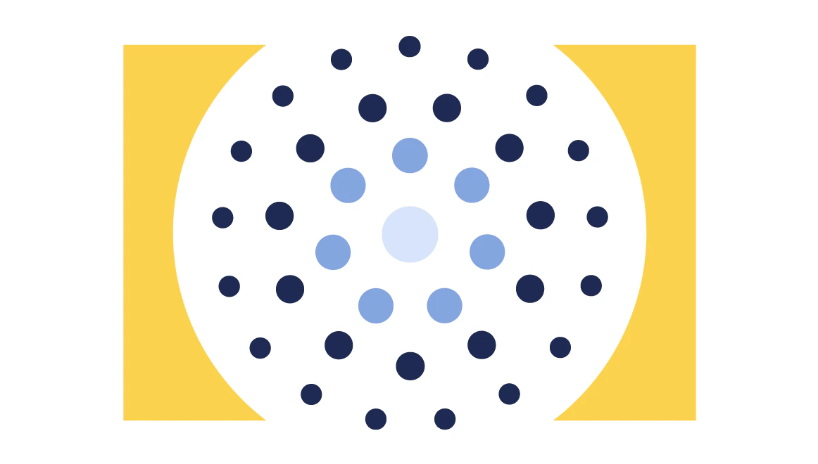 Biological Transport Networks