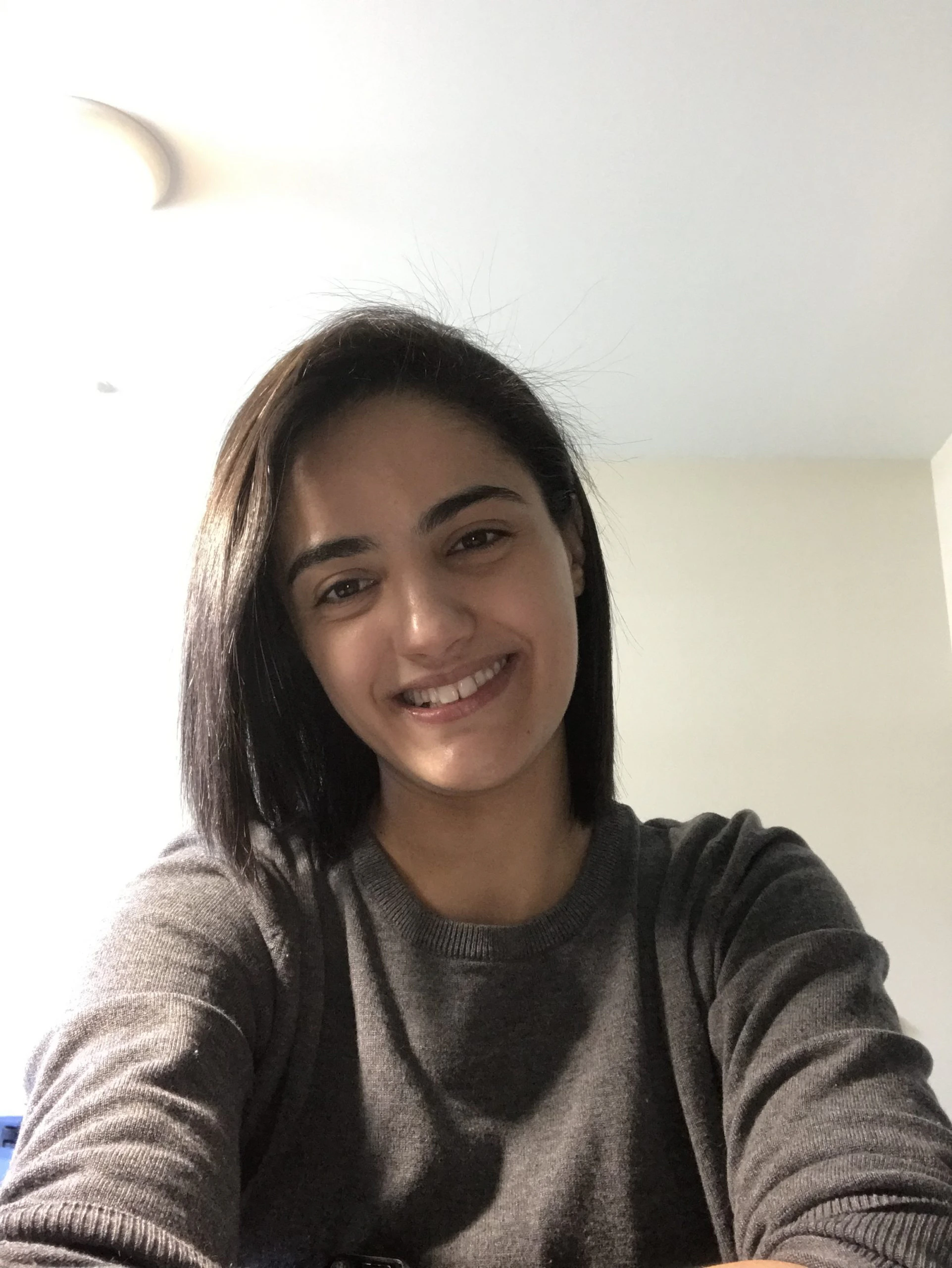 Nour Al Hassanieh