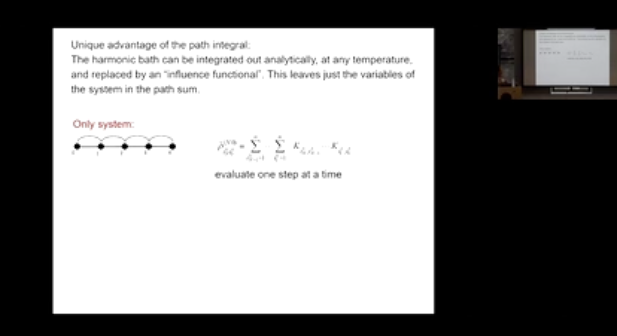 Nancy Makri: Real-Time Path Integral Methods