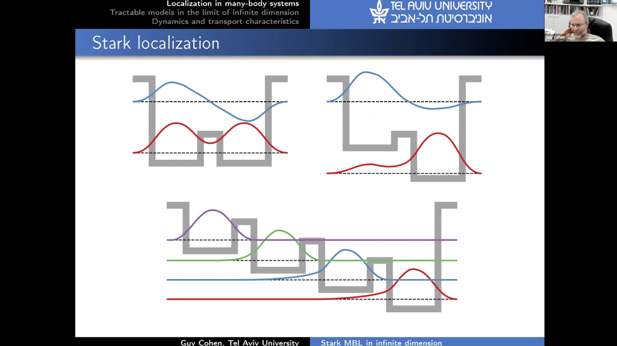 Guy Cohen: Stark Many-Body Localization in Interacting Infinite ...