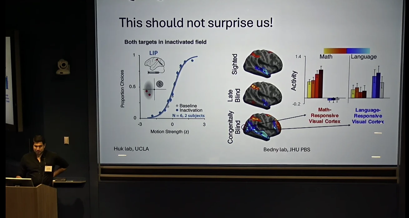 Adam Charles: Brain-wide data and the limits of conventional ...