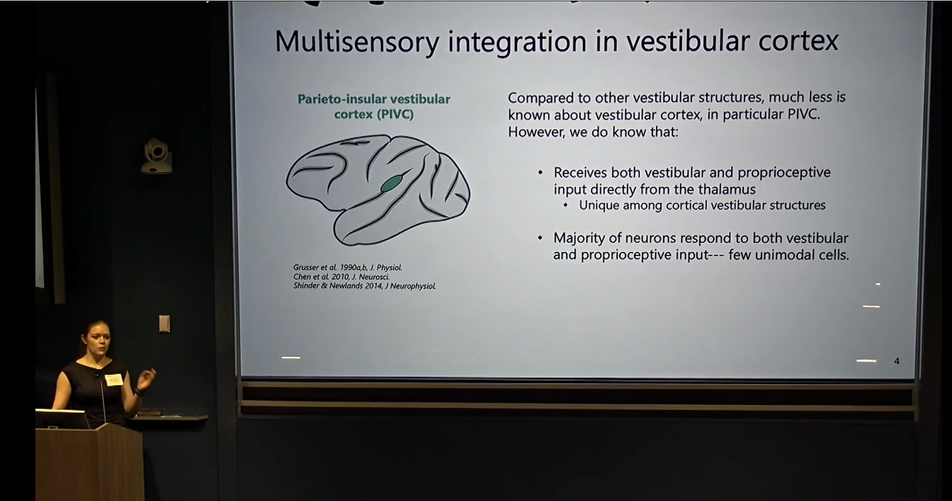 Lex Gómez: Understanding Multisensory Integration in Primate Vestibular ...