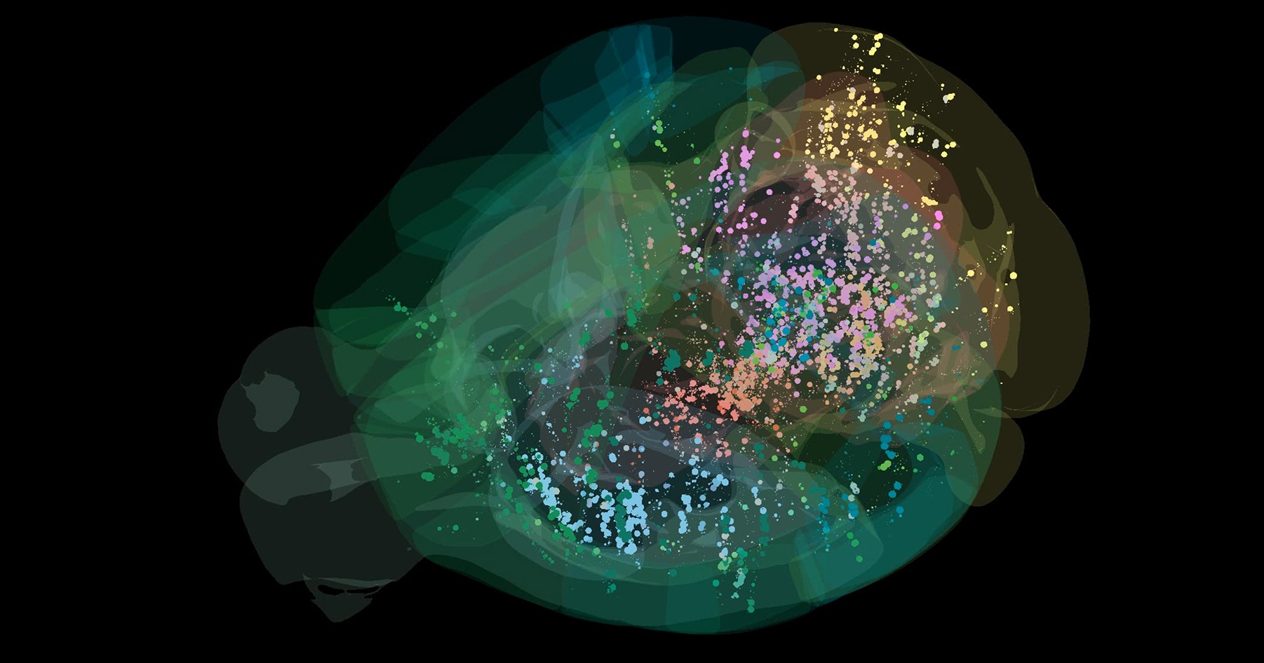 International Brain Laboratory Accepting Applications for New ...