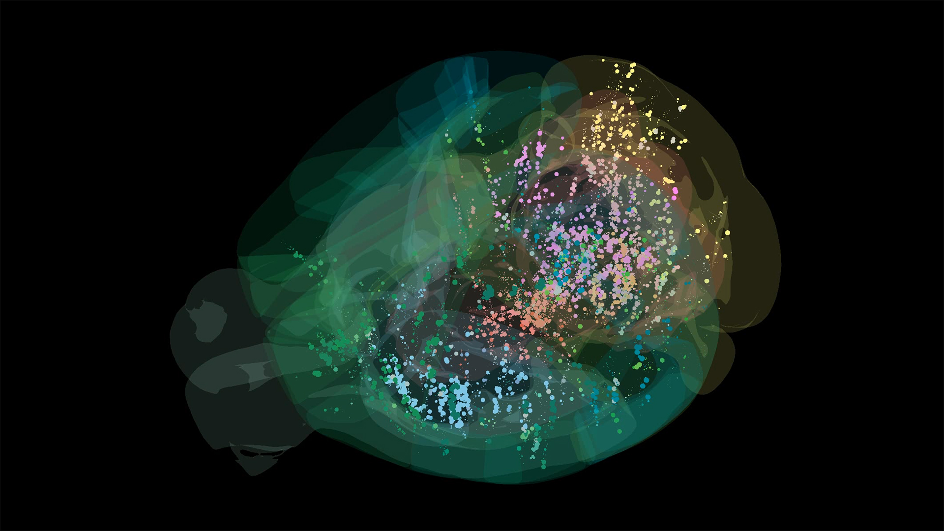 International Brain Laboratory Accepting Applications for New ...