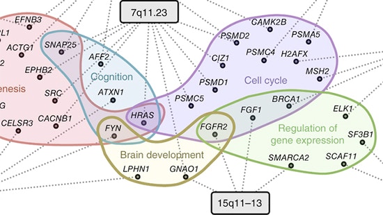 SFARI | A computational approach to predicting autism risk genes