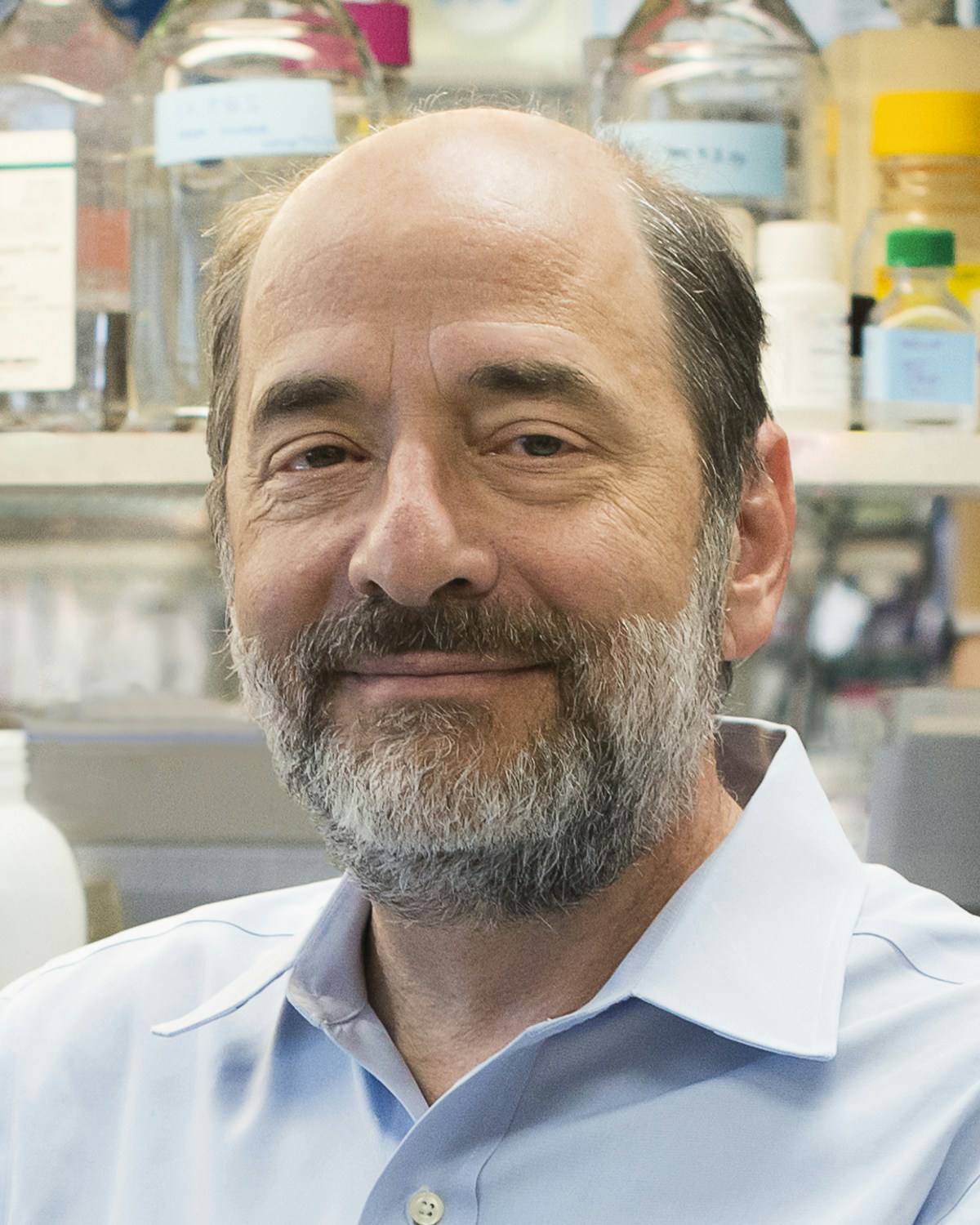 SFARI | Michael Greenberg