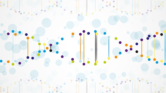 SFARI | Whole-genome sequencing of the Simons Simplex Collection: New ...