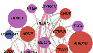 SFARI | Meta-analysis of de novo mutations yields longer list of risk ...