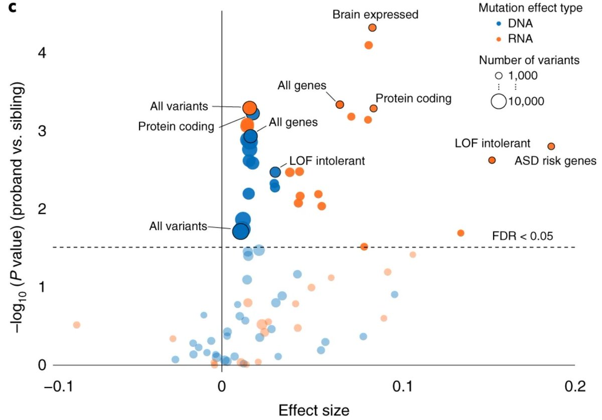 SFARI | A genome-wide assessment of noncoding risk variants in autism