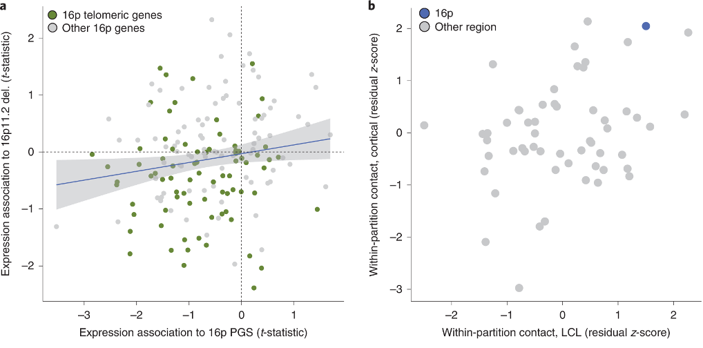 SFARI | A new approach to analyzing genomic association data finds ...