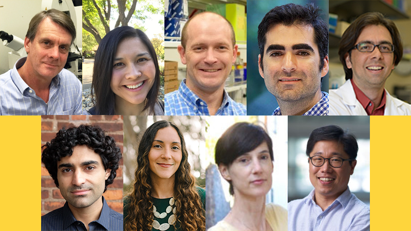 SFARI | SFARI 2023 Winter Pilot awardees announced