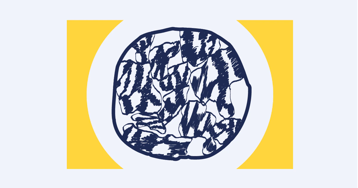 SFARI | SFARI Funds 5 Projects Aiming to Understand Early Neural ...